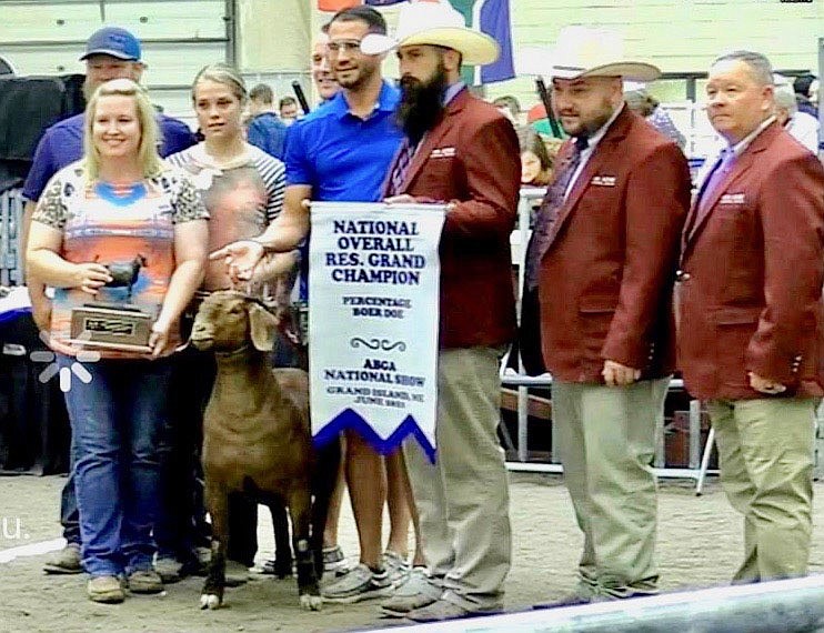 Taylor family wins national awards with goats | Westside Eagle Observer