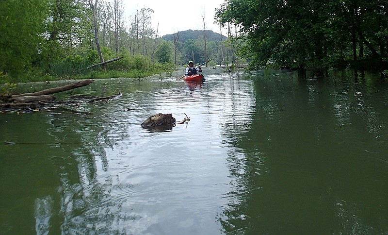 Swamp paddling paradise: Rise at lake creates lowland beauty | The ...
