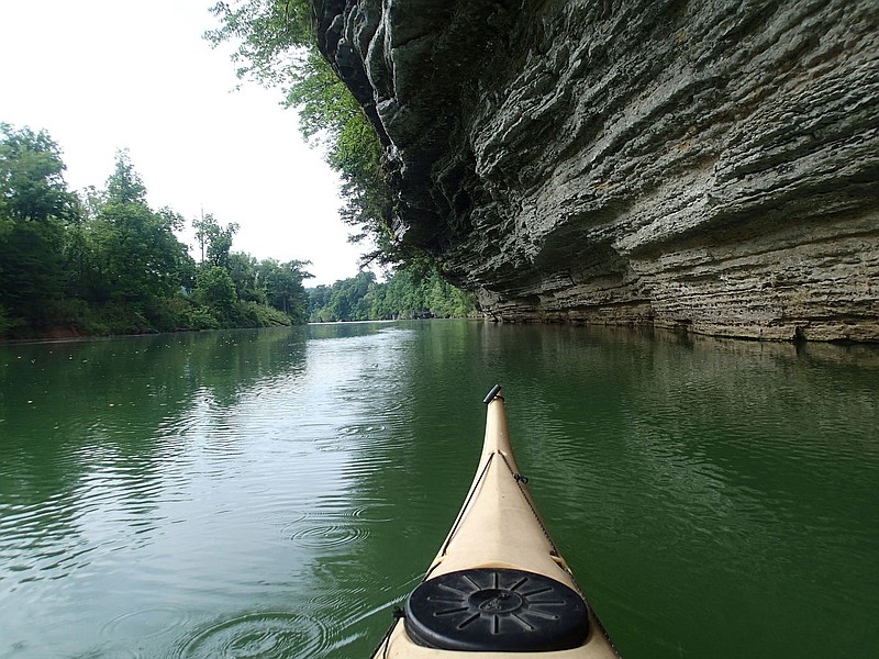 Swamp paddling paradise: Rise at lake creates lowland beauty | The ...