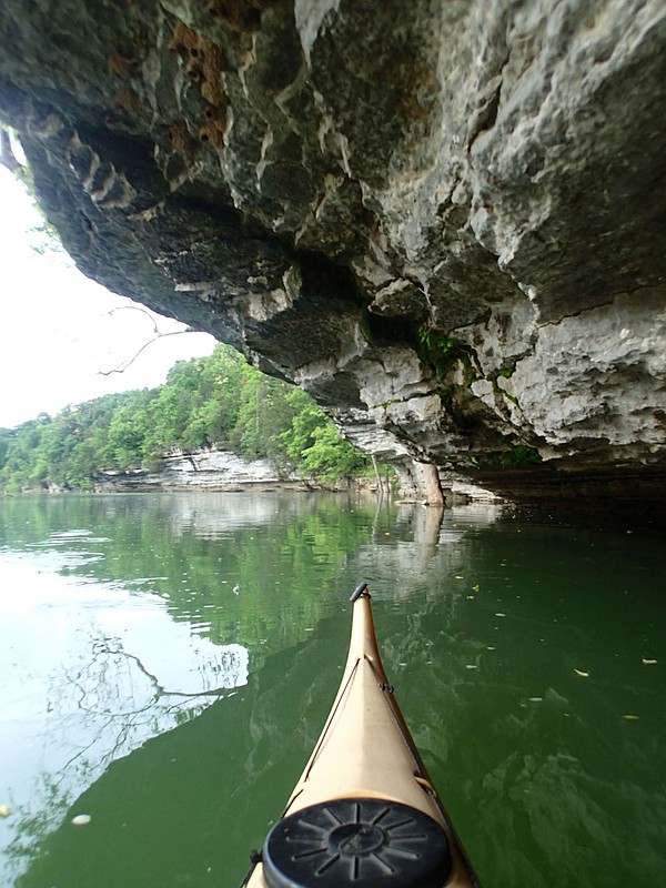 Swamp paddling paradise: Rise at lake creates lowland beauty | The ...