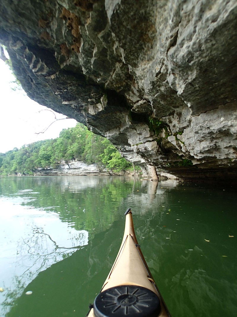 Swamp paddling paradise: Rise at lake creates lowland beauty | The ...