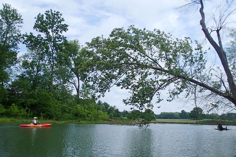 Swamp paddling paradise: Rise at lake creates lowland beauty | The ...