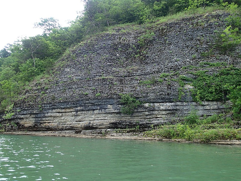 Swamp paddling paradise: Rise at lake creates lowland beauty | The ...