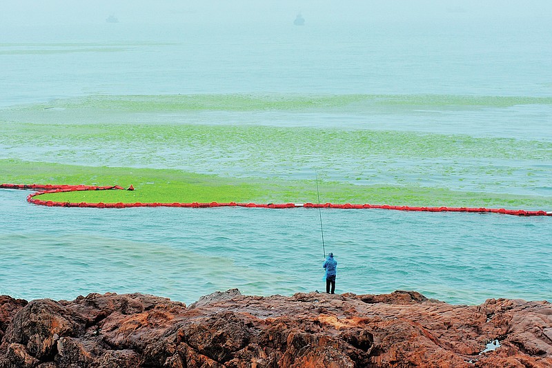 Chinese port city Qingdao launches fight against algae bloom