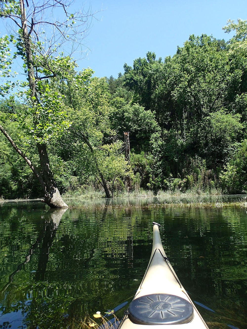 Summertime paddling oasis: Tailwater refreshing, cool for kayakers