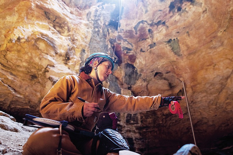 Rat nests contribute to fossil record in Wyoming cave