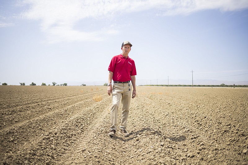 Tomato growers in pinch | The Arkansas Democrat-Gazette - Arkansas ...