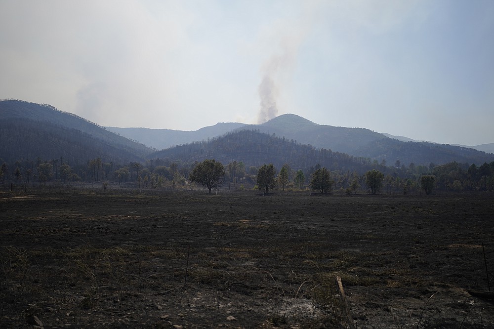 Forest fire forces thousands to evacuate in Riviera