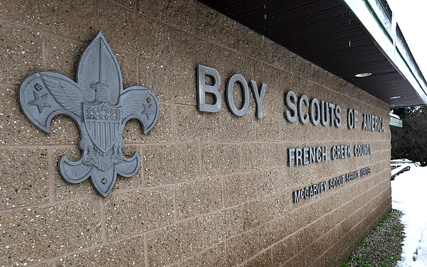 Judge OKs Boy Scouts' plan for victim fund | The Arkansas Democrat ...