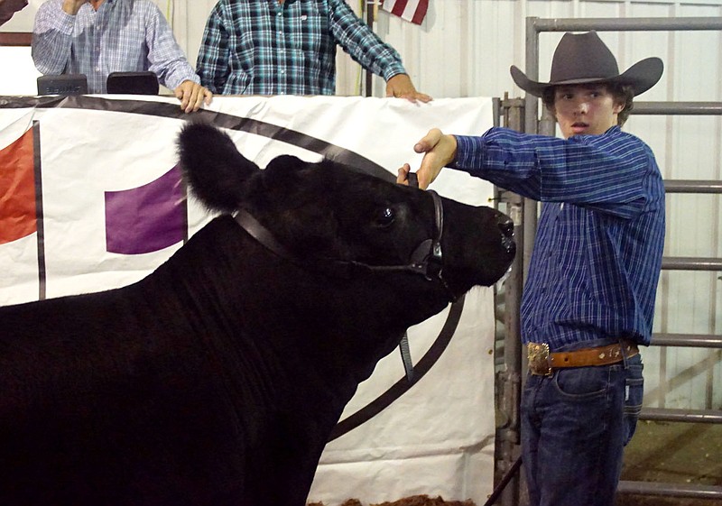 Cattle | Westside Eagle Observer