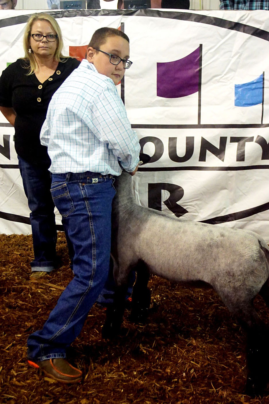 Sheep