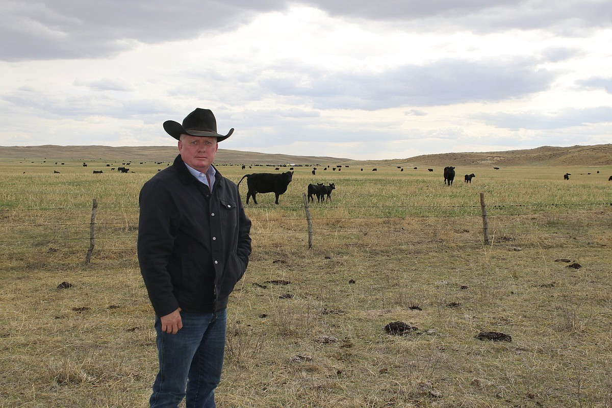 Unhappy ranchers to build their own beef plants | The Arkansas Democrat ...