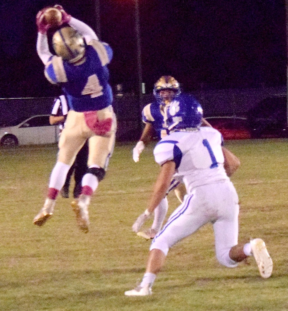 Bulldogs fail to cage Cougars