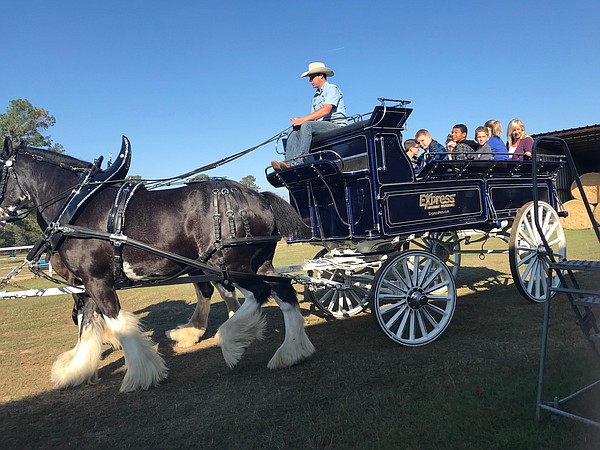 Clydesdales help Texarkana charity ranch celebrate 20 years of service ...