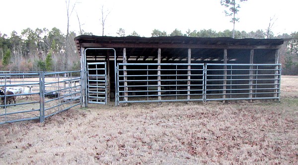 Sheep, goats need winter shelter | Westside Eagle Observer