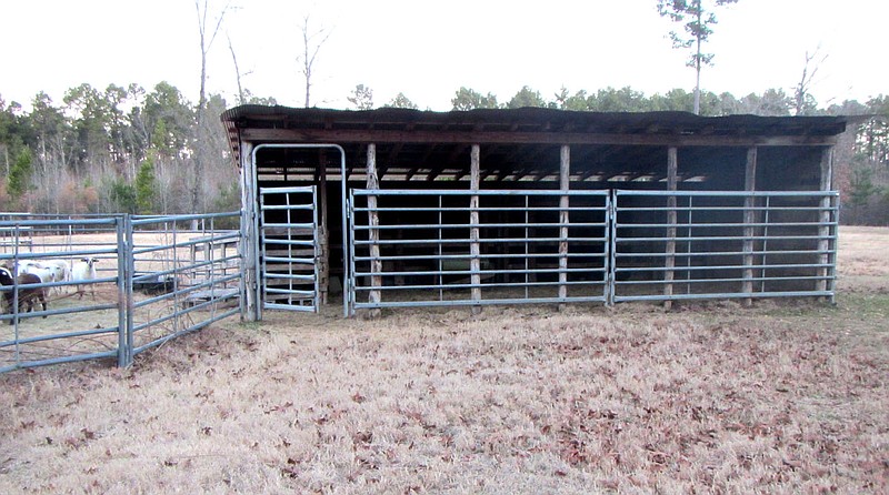 Sheep, goats need winter shelter | Westside Eagle Observer