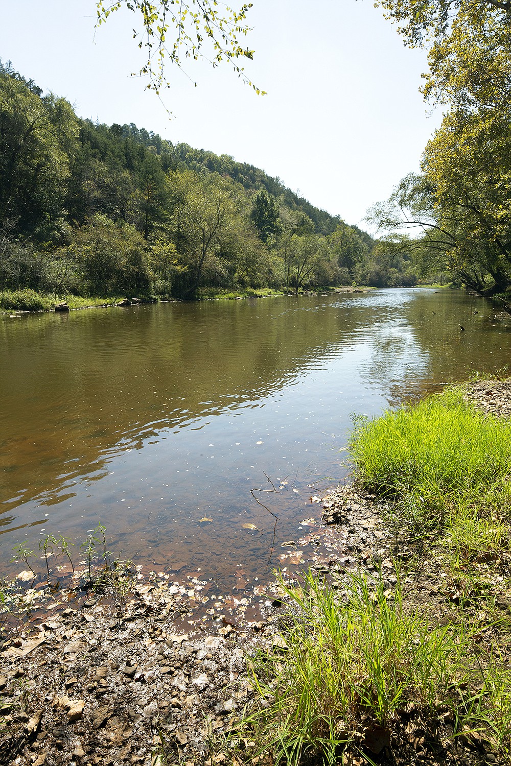 WATCH: Small Gillham Lake packs a big outdoor punch