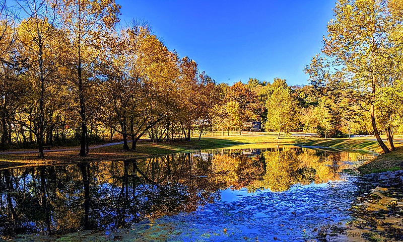 Fall colors reaching peak in Gentry | Westside Eagle Observer