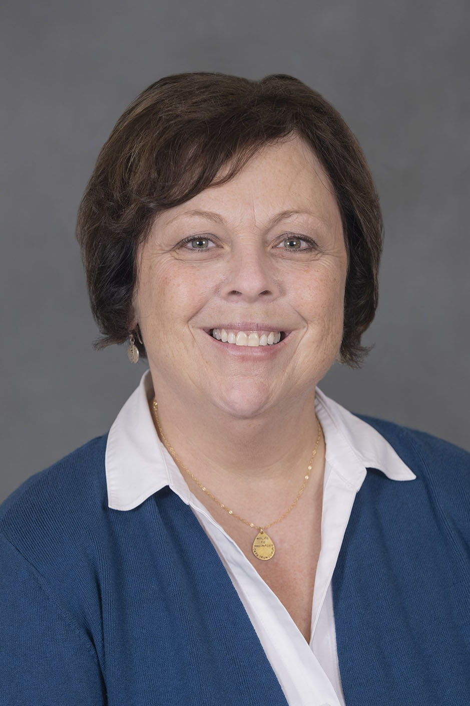 Democratic state Senate candidates promise to represent all district ...