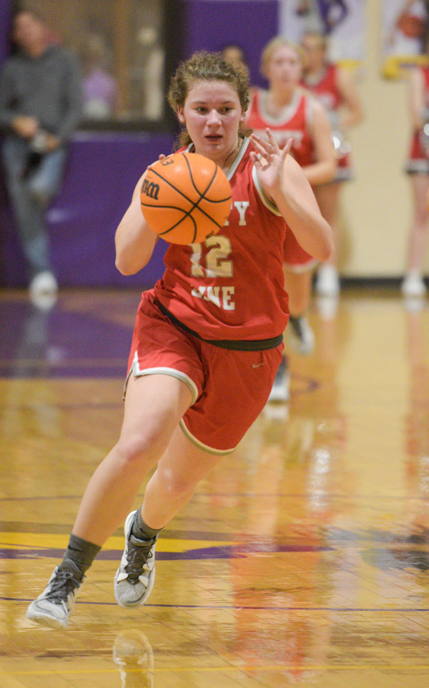PREP BASKETBALL CLASS 1A | The Arkansas Democrat-Gazette - Arkansas ...