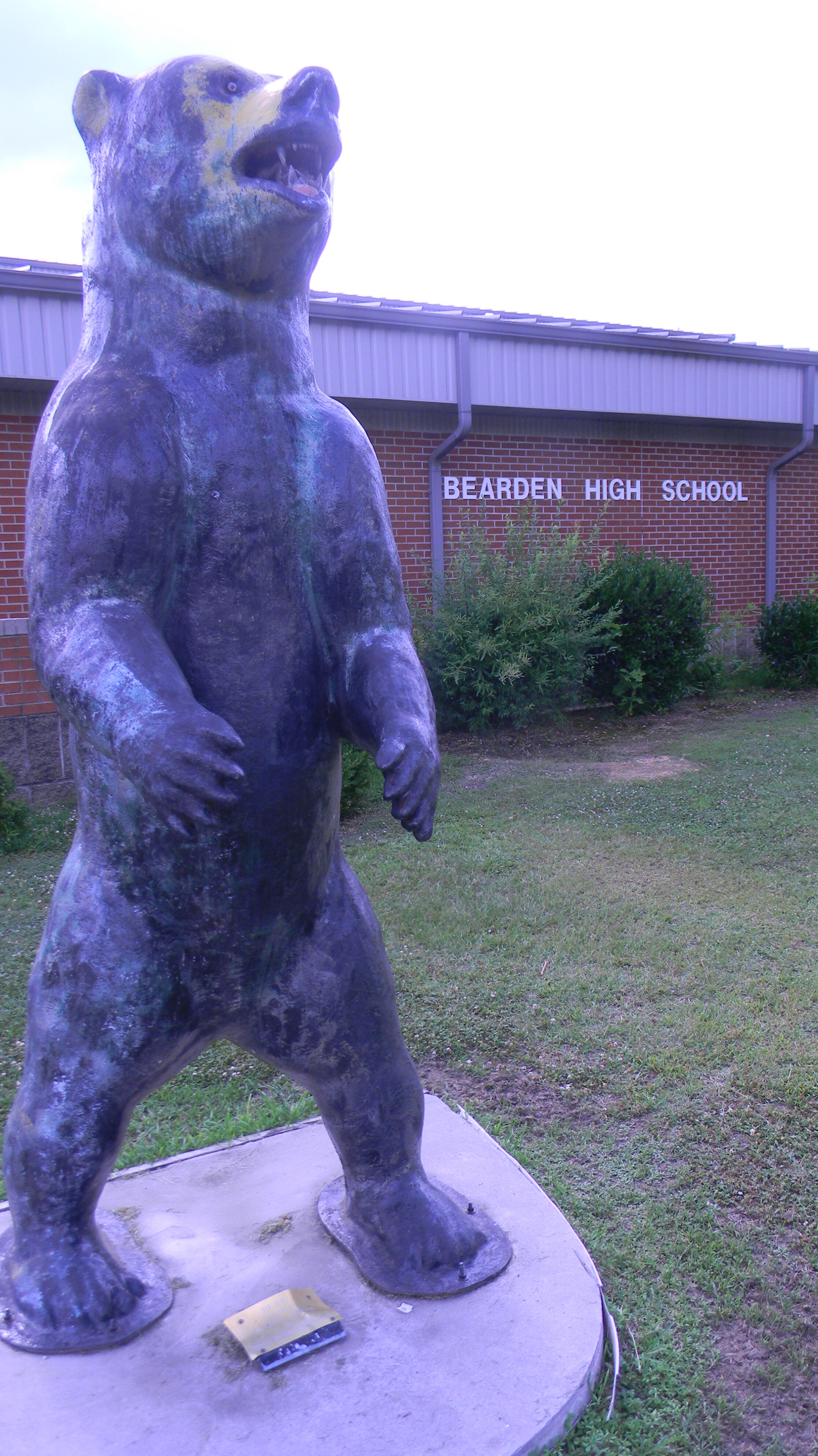 Agency surveys for '22 bear hunt | Northwest Arkansas Democrat-Gazette