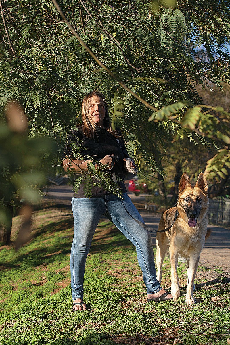 Dog tracker has helped hundreds of families reunite with their runaway ...