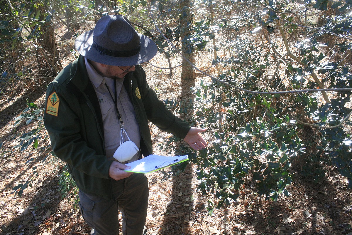 Arboretum tour guided by Arkansas State Parks interpreter | El Dorado News