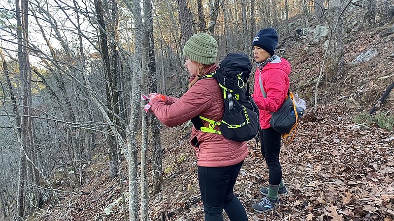 WATCH: LOViT endurance race set for this weekend | Hot Springs Sentinel ...