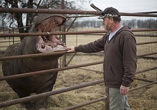 Gentry’s Wild Wilderness Drive-Through Safari closed to public ...