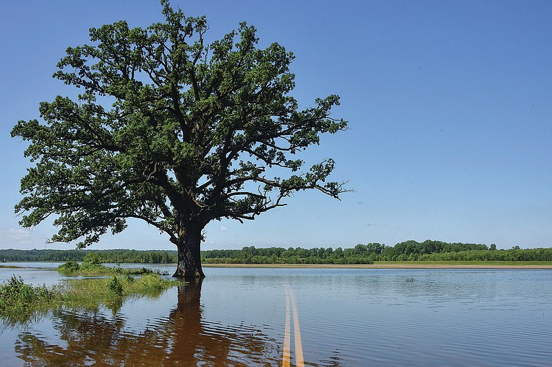 The Big Sneeze: Scientists say climate change to make pollen season ...