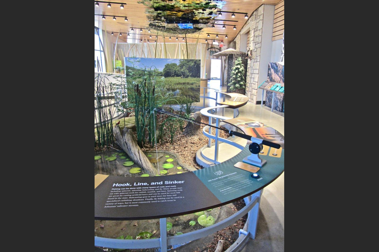 Ozark Highlands Nature Center brings the outside inside | El Dorado News