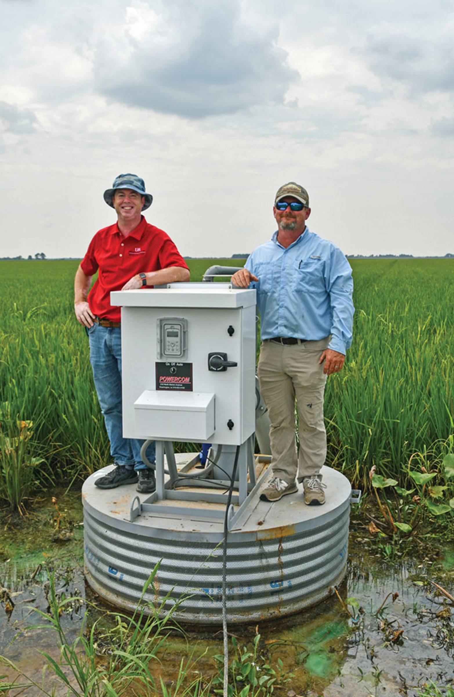 Rice-growing system saves water | Northwest Arkansas Democrat-Gazette