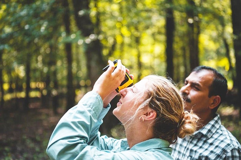 UAM graduate student wins forestry-poster competition | Northwest Arkansas Democrat-Gazette