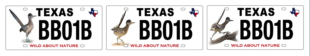 Texans asked to choose next wildlife license plate | Texarkana Gazette