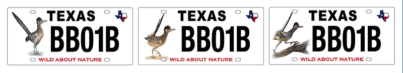 Texans asked to choose next wildlife license plate