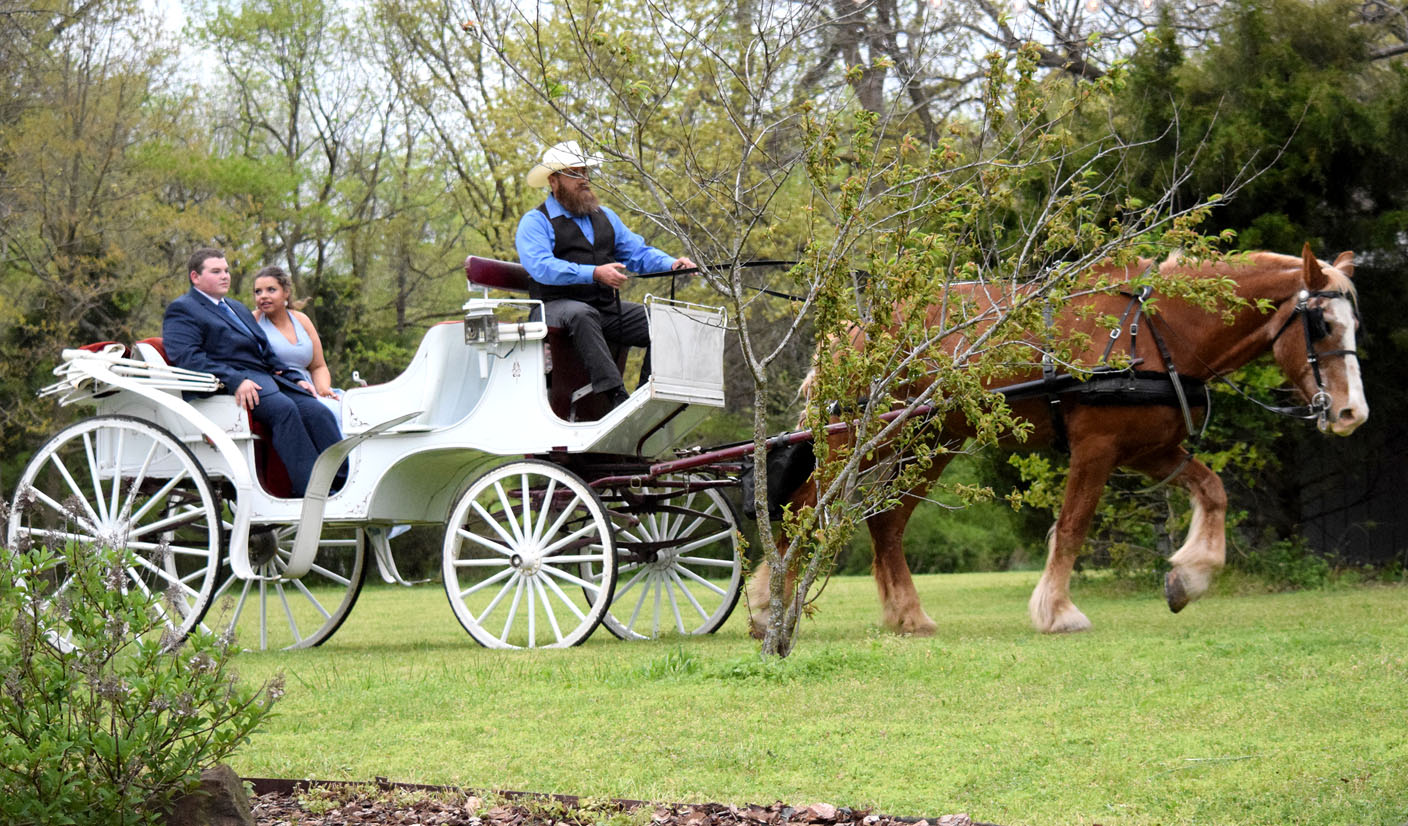 Decatur holds prom night under the stars | Westside Eagle Observer
