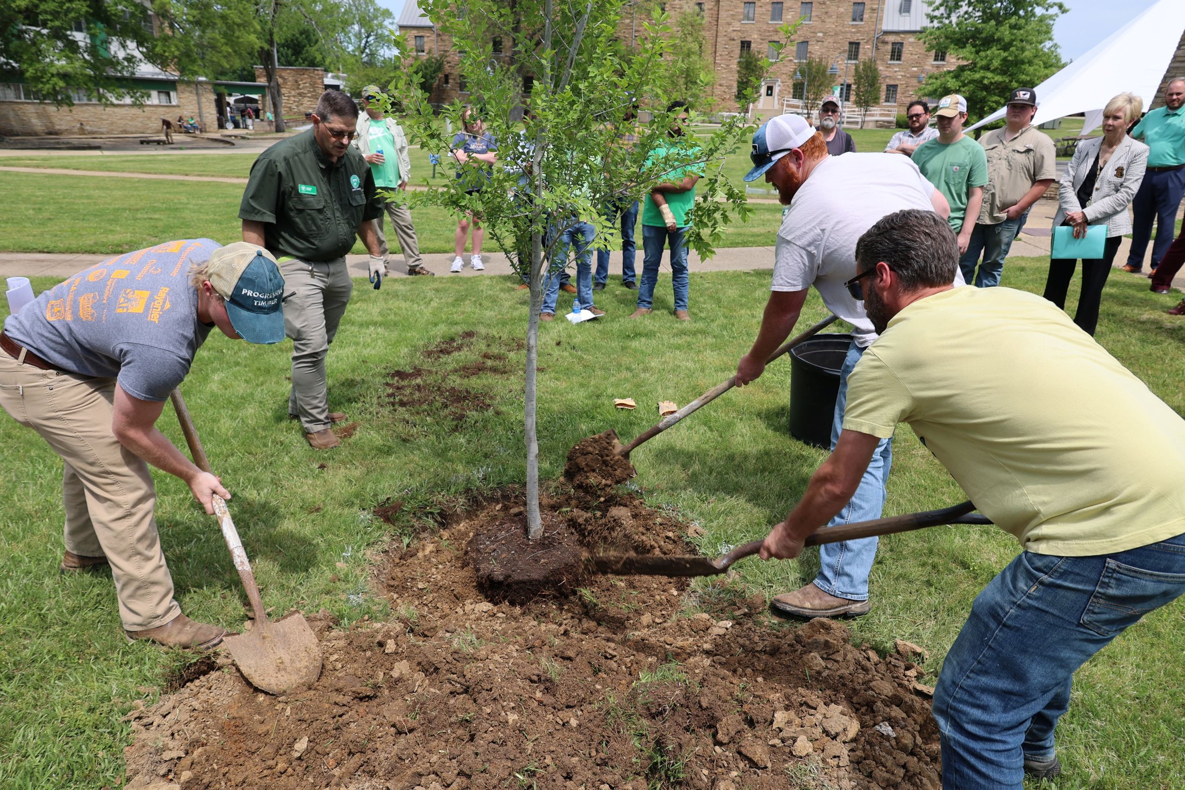 UAM marks another tree day | Northwest Arkansas Democrat-Gazette