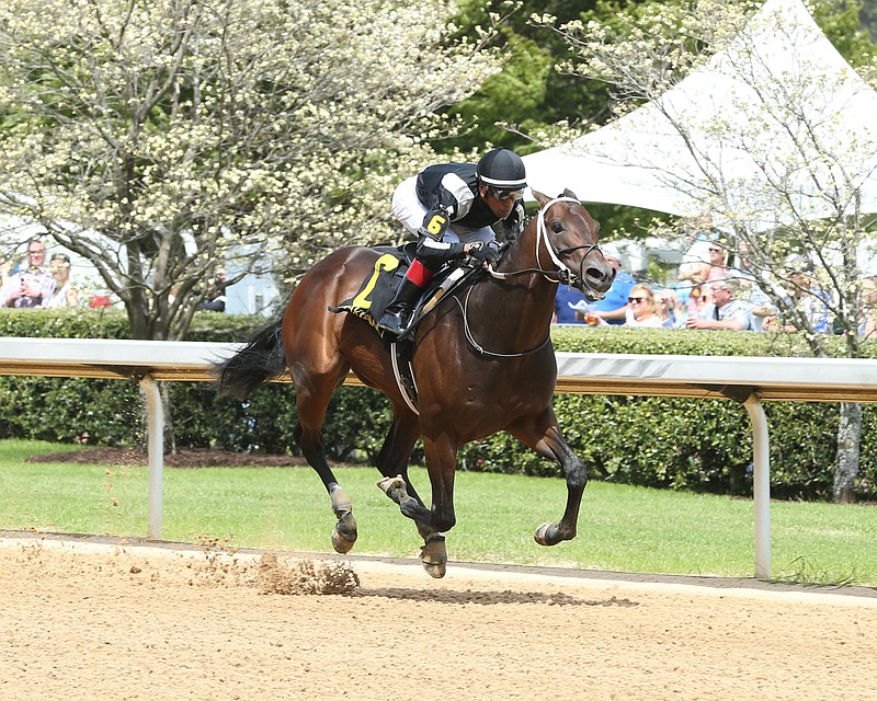 Castillo finishes strong in Oaklawn debut | Hot Springs Sentinel Record