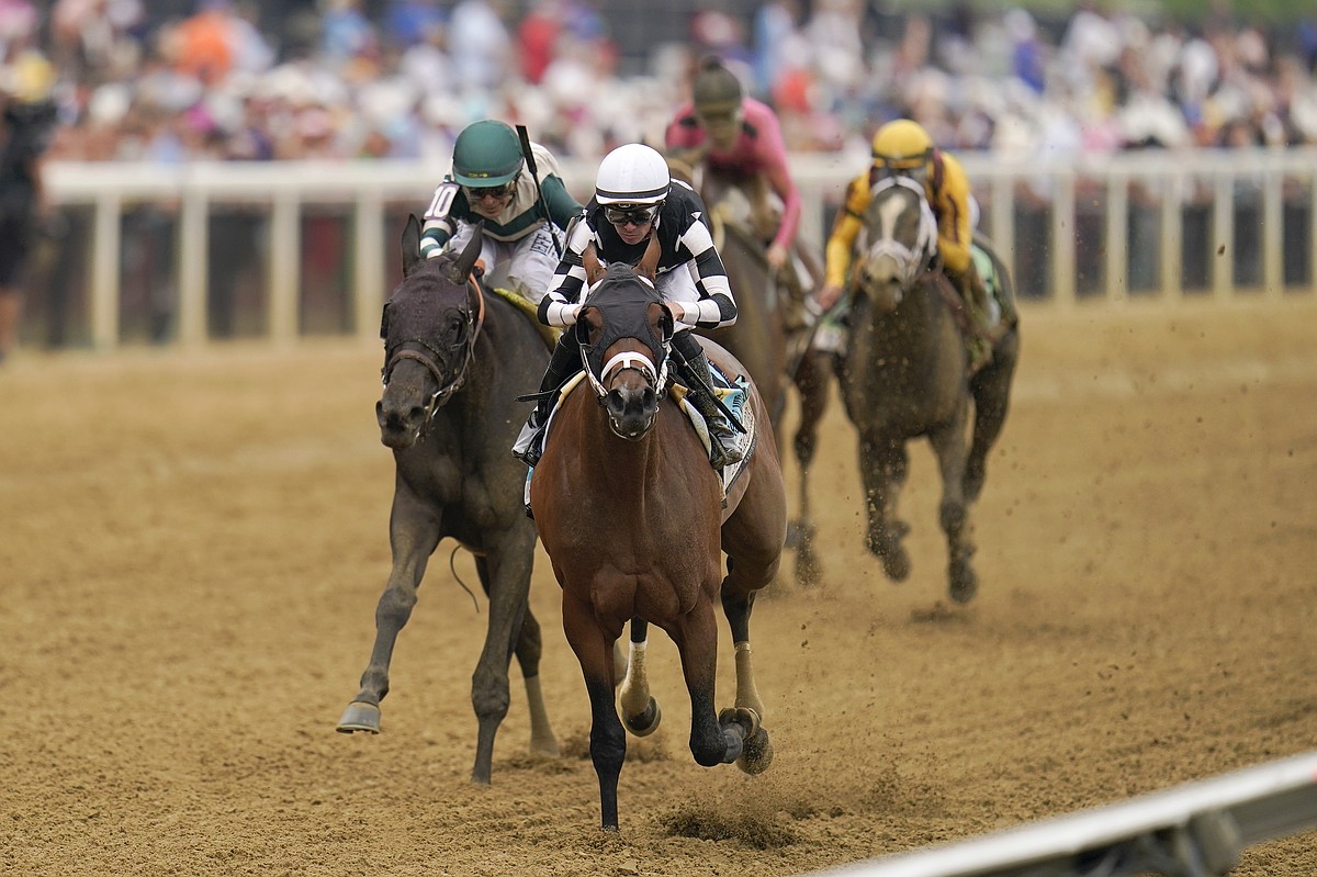 Flurry filly takes G3 stake at Pimlico | Hot Springs Sentinel Record