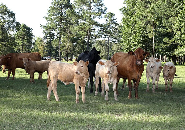 Summer heat, drought may be on the way | Westside Eagle Observer