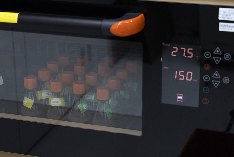 Novavax company hopes its COVID shot wins over FDA, vaccine holdouts ...