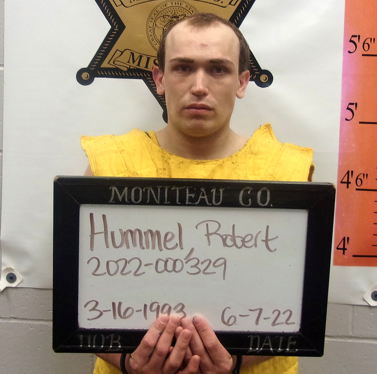 Moniteau County deputy injured during drug arrests | California Democrat