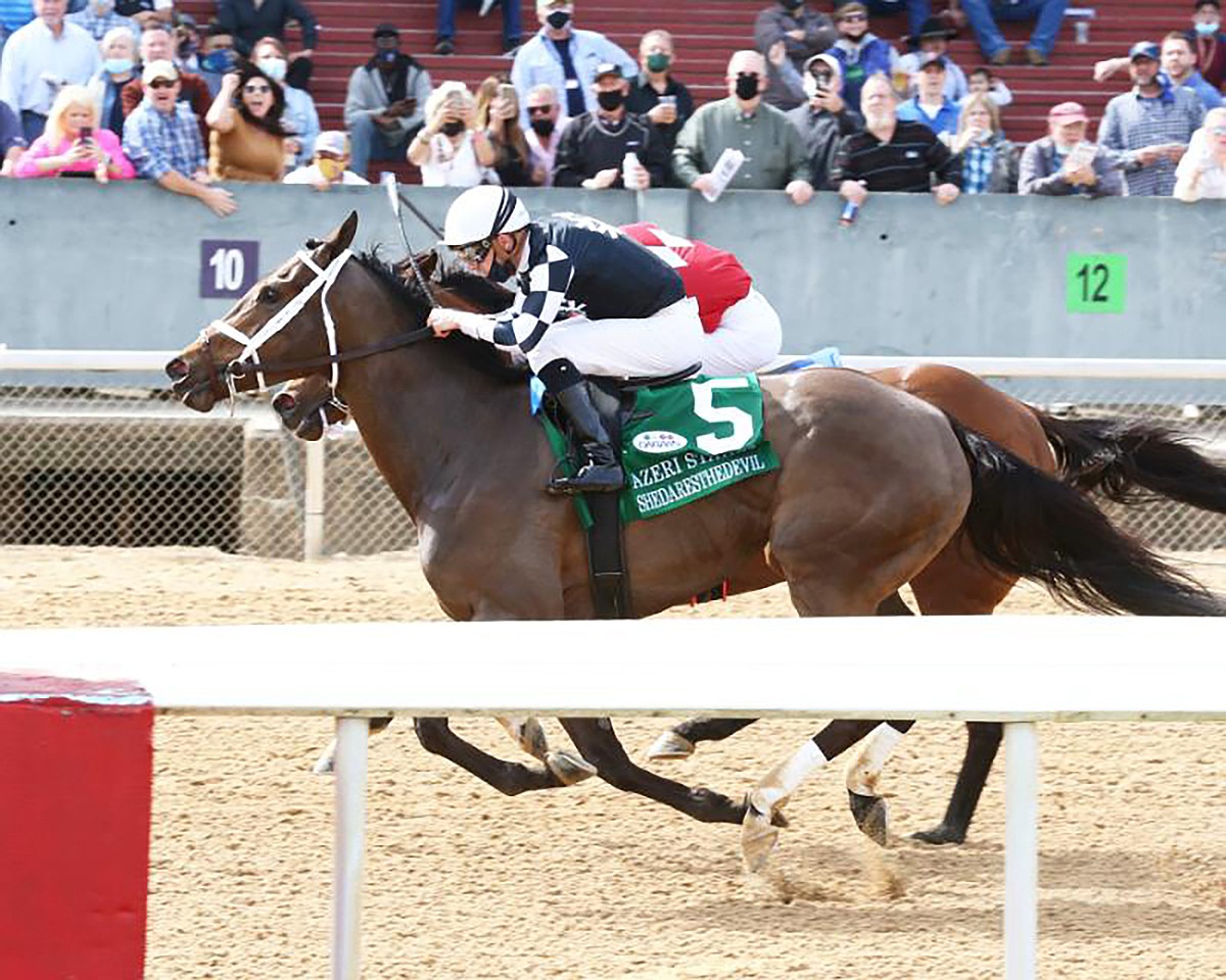 Flurry-owned filly back on winning track | Hot Springs Sentinel Record