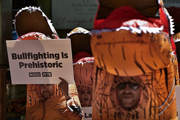 Animal-welfare activists protest Running of Bulls | Northwest Arkansas ...