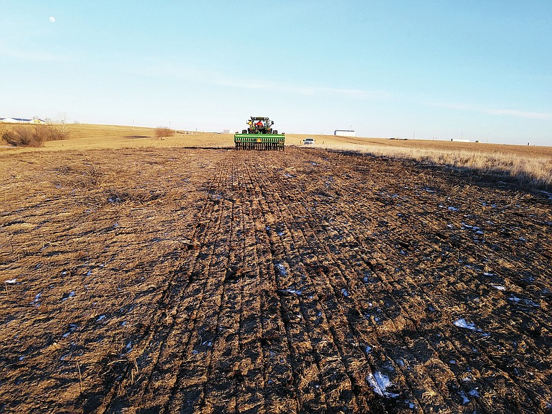 Driftwood Outdoors: Cover crops build soil, slow erosion and protect ...