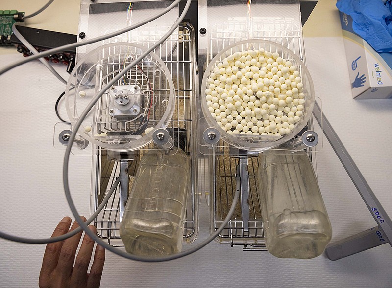 When you eat could be key to living longer | Jefferson City News Tribune