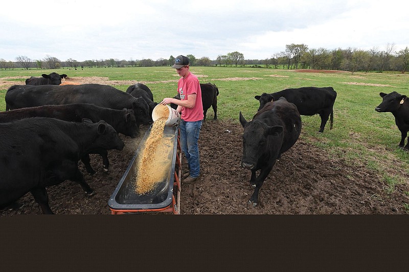Cardinals’ farm hand enjoys successful homecoming | Northwest Arkansas ...