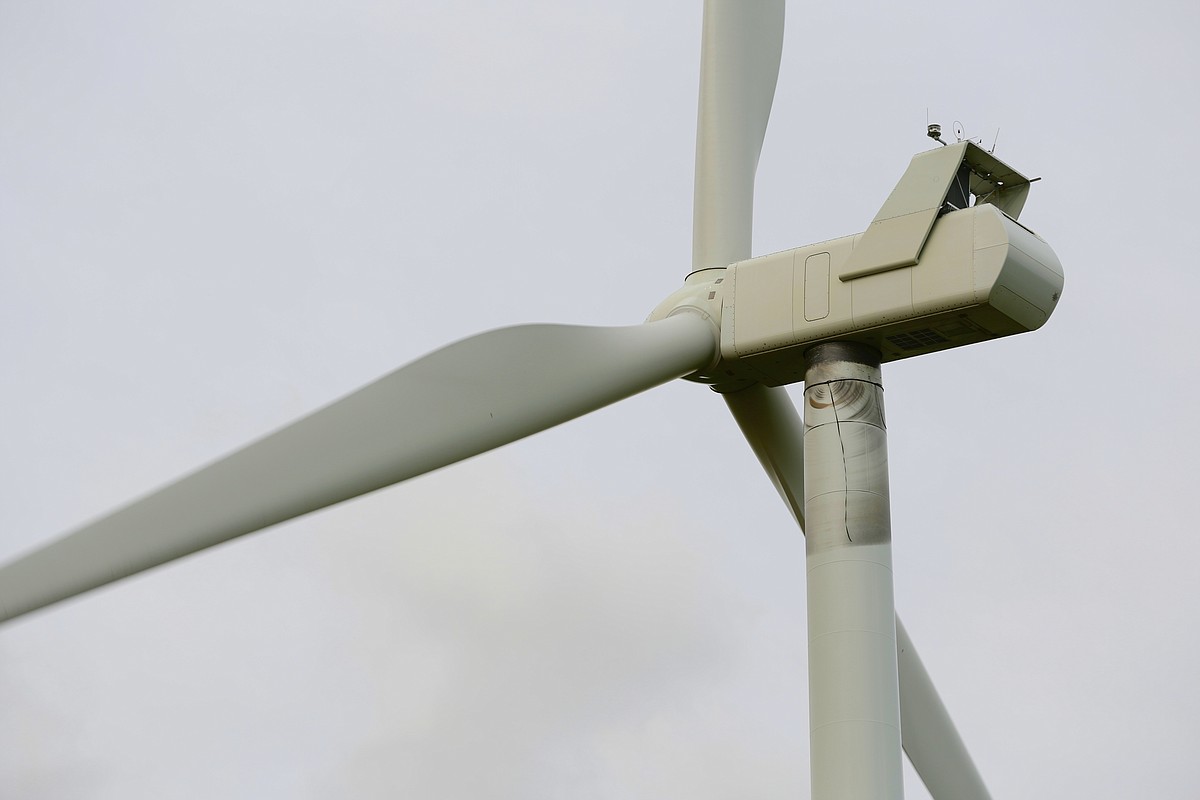 Wind energy boom, golden eagles collide in US West | Hot Springs ...