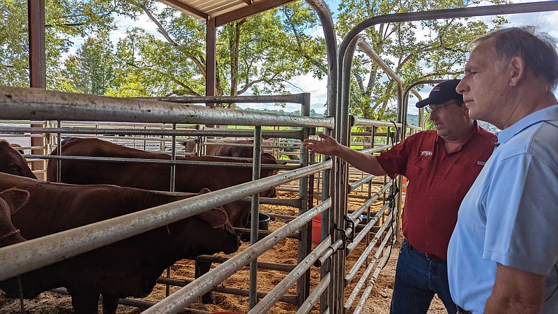 Boozman talks cattle at 777 Farms | Magnolia Banner News