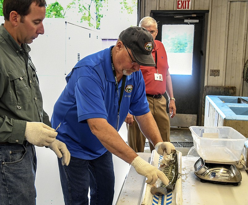 Anglers can weigh in on AGFC management plan Tuesday | Hot Springs ...